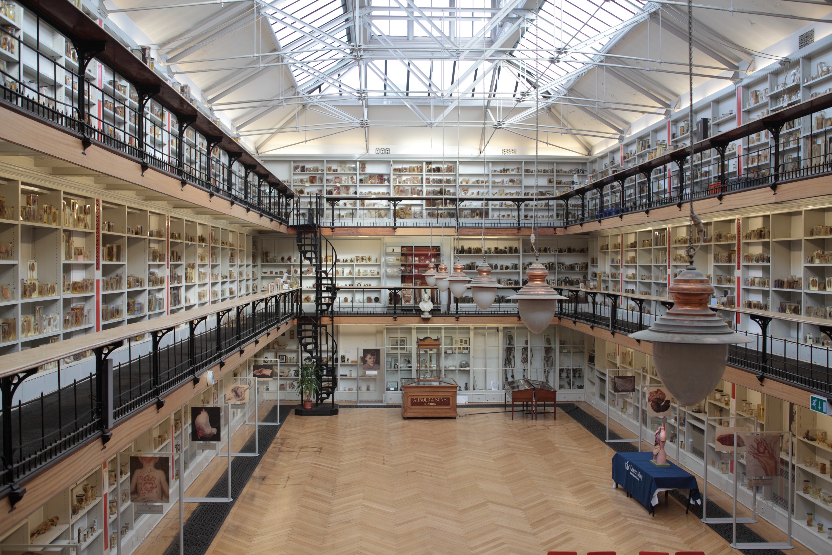 THE RETURN OF SHERLOCK HOLMES v TROLL BOY | robtryan